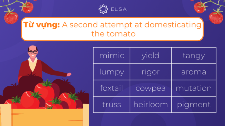 A second attempt at domesticating the tomato: Cam 17, Test 2, Reading ...