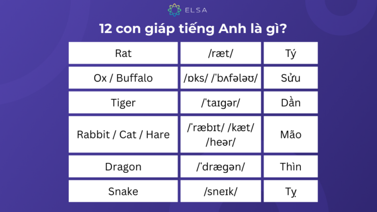 12 con giáp tiếng Anh là gì? Từ vựng về 12 con giáp