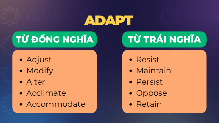 Adapt là gì? Adapt đi với giới từ gì? Phân biệt Adapt và Adopt