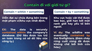 Contain đi với giới từ gì? Cách dùng và bài tập vận dụng