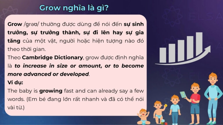 Grow đi với giới từ gì? Tổng hợp các Phrasal Verb của Grow